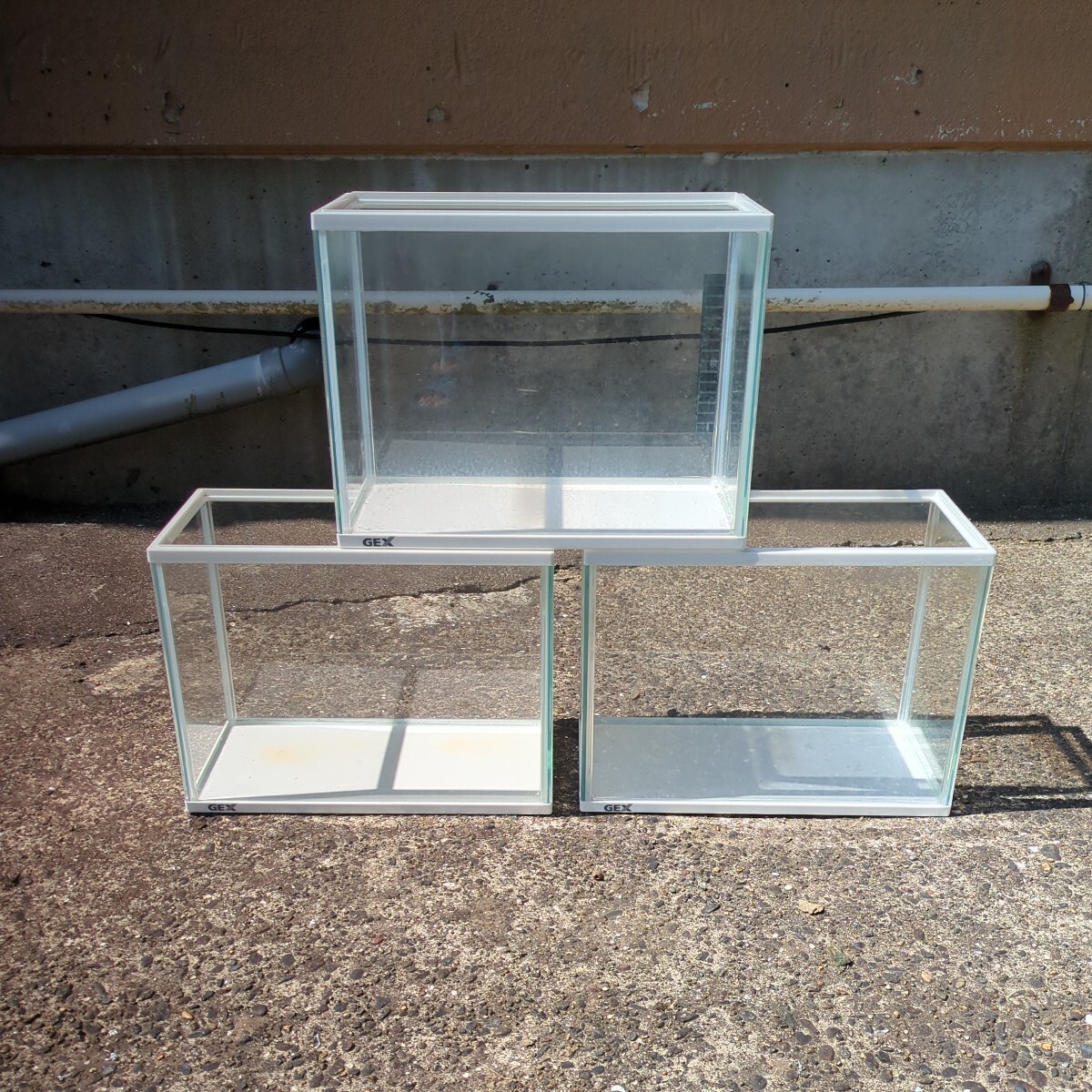 Yahoo!オークション - GEX 30cm水槽セット 中古品