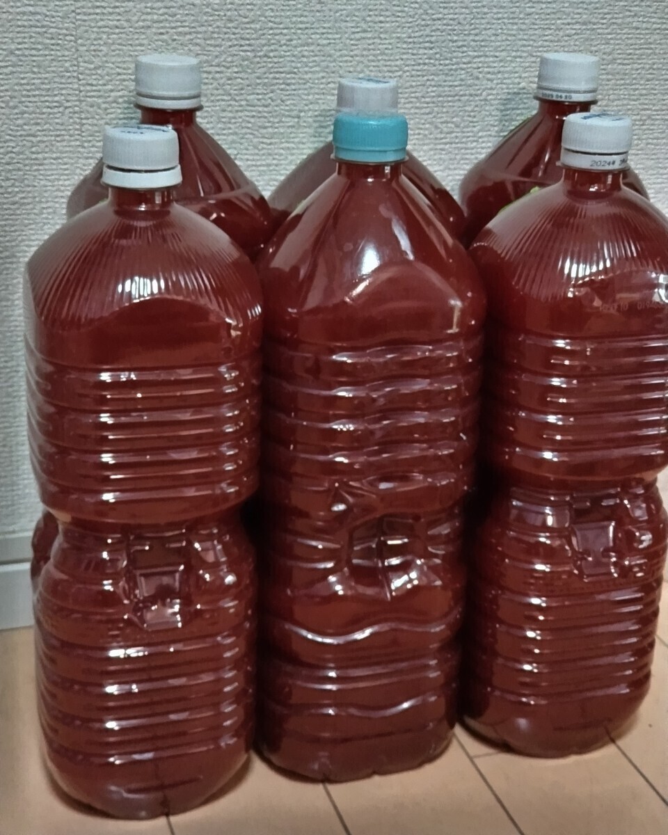 Yahoo!オークション - 【12L】光合成細菌PSB【めだか_はむらん】psb メ...