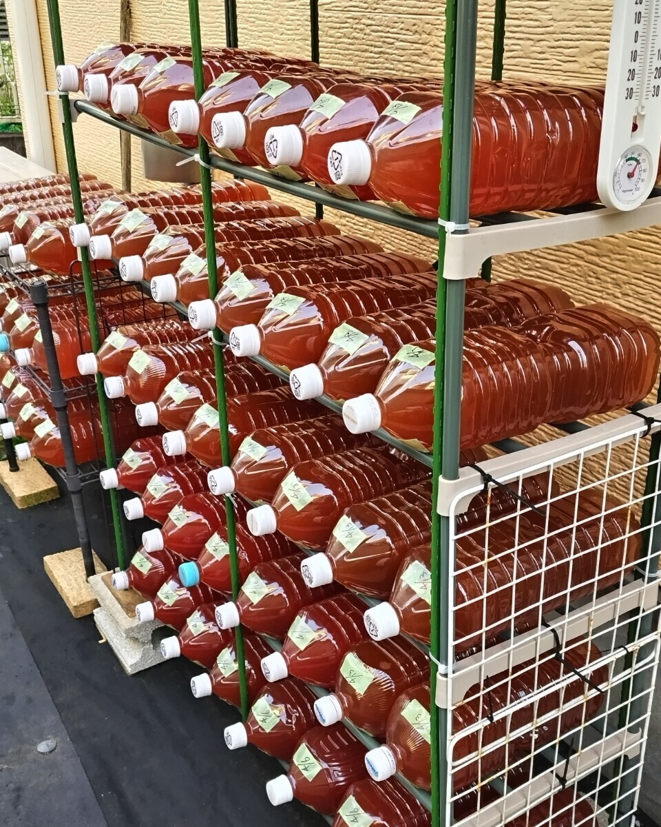 Yahoo!オークション - 【12L】光合成細菌PSB【めだか_はむらん】psb メ...