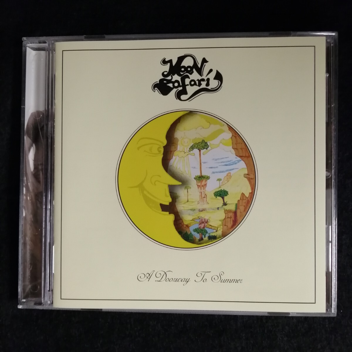 Yahoo!オークション - D06 中古CD ムーンサファリ MOON SAFARI a doorw...