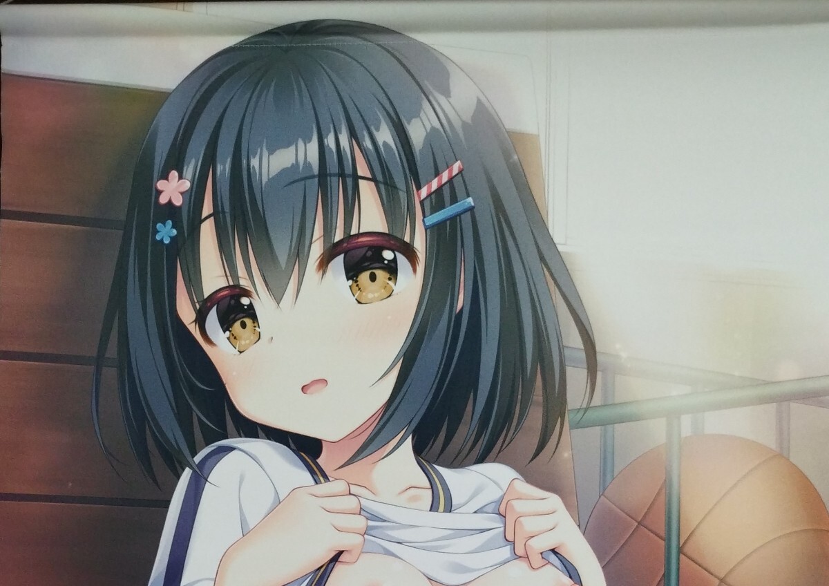 AMBITIOUS MISSION アフターエピソード2 石川弥栄 B2Wスエードタペストリー(タペストリー)｜売買されたオークション情報、yahooの商品情報をアーカイブ公開 ...