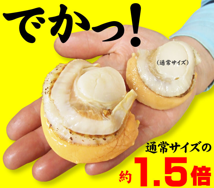 1円 ジャンボ2Lサイズ ボイルホタテ貝1kg 16-20粒 解凍800g 北海道産 冷凍 2Lボイルデカホタテ帆立ほたて(ホタテ)｜売買されたオークション情報、yahooの商品情報を ...