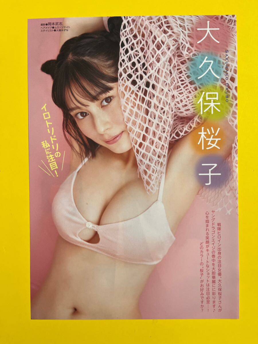 Yahoo!オークション - YDA 大久保桜子 切り抜き16P ヤングドラゴンエイ...