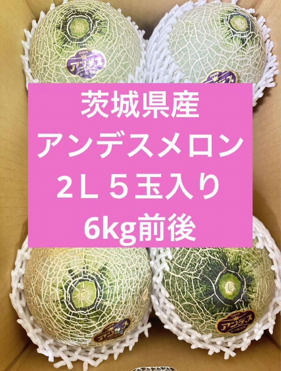 Yahoo!オークション - 茨城県産 アンデスメロン 2L メロン 5玉入り 箱...