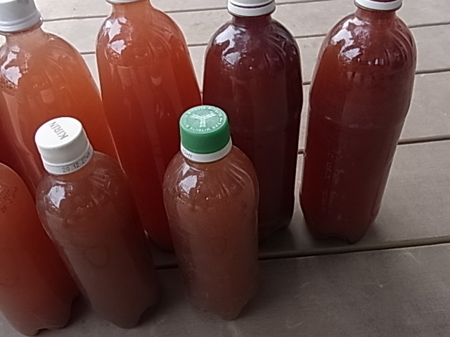 Yahoo!オークション - P5L PSB(光合成細菌) 訳あり 5L以上（5000ml）...