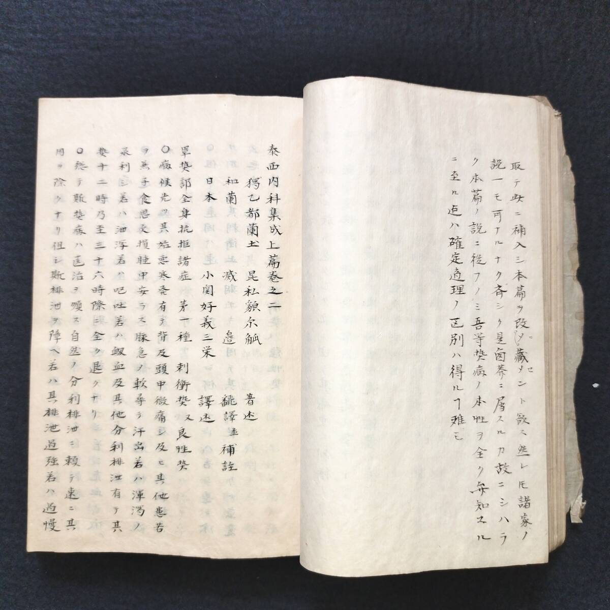 Yahoo!オークション - Y341 西洋医学書 薬学 泰西内科集成 肉筆 写本 ...