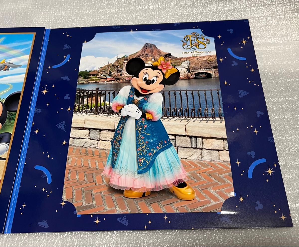 ファンタジースプリングス フォトファン ミッキーミニー 台紙 ファンタジースプリングス フォトファン ミッキーミニー 台紙