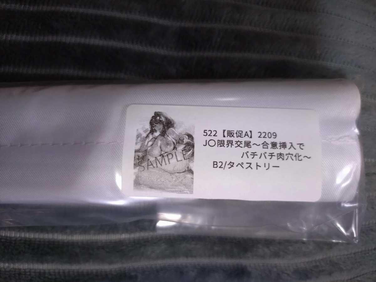 Yahoo オークション Jk限界交尾 J 限界交尾 ~合意挿入でバチバチ肉