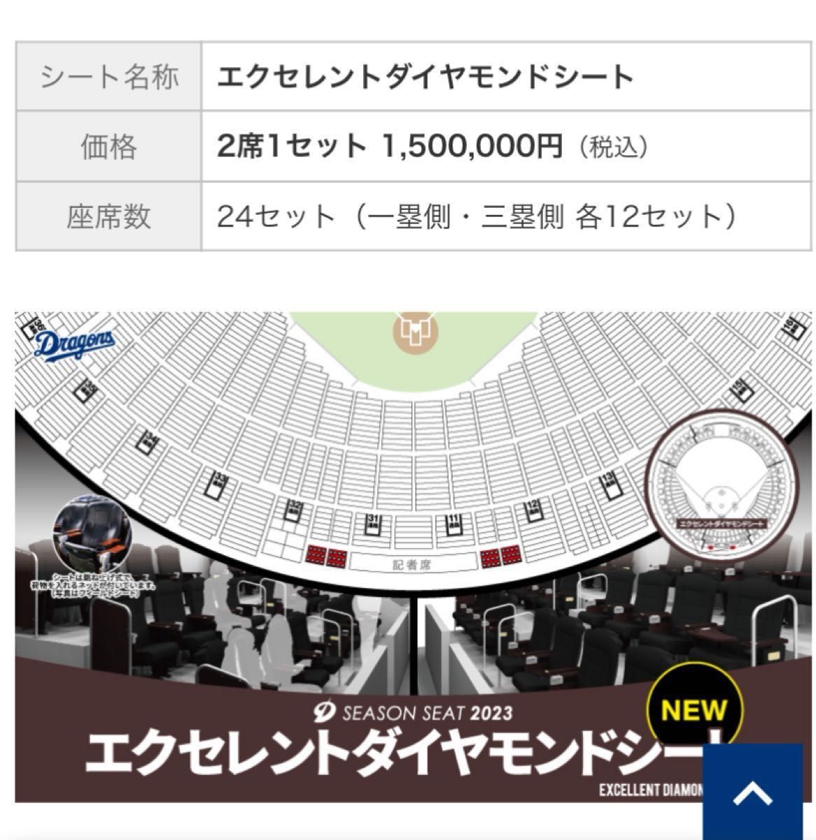 6/30(日)中日横浜戦 ペア エクセレントダイヤモンドシート 6/30(日)中日横浜戦 ペア エクセレントダイヤモンドシート