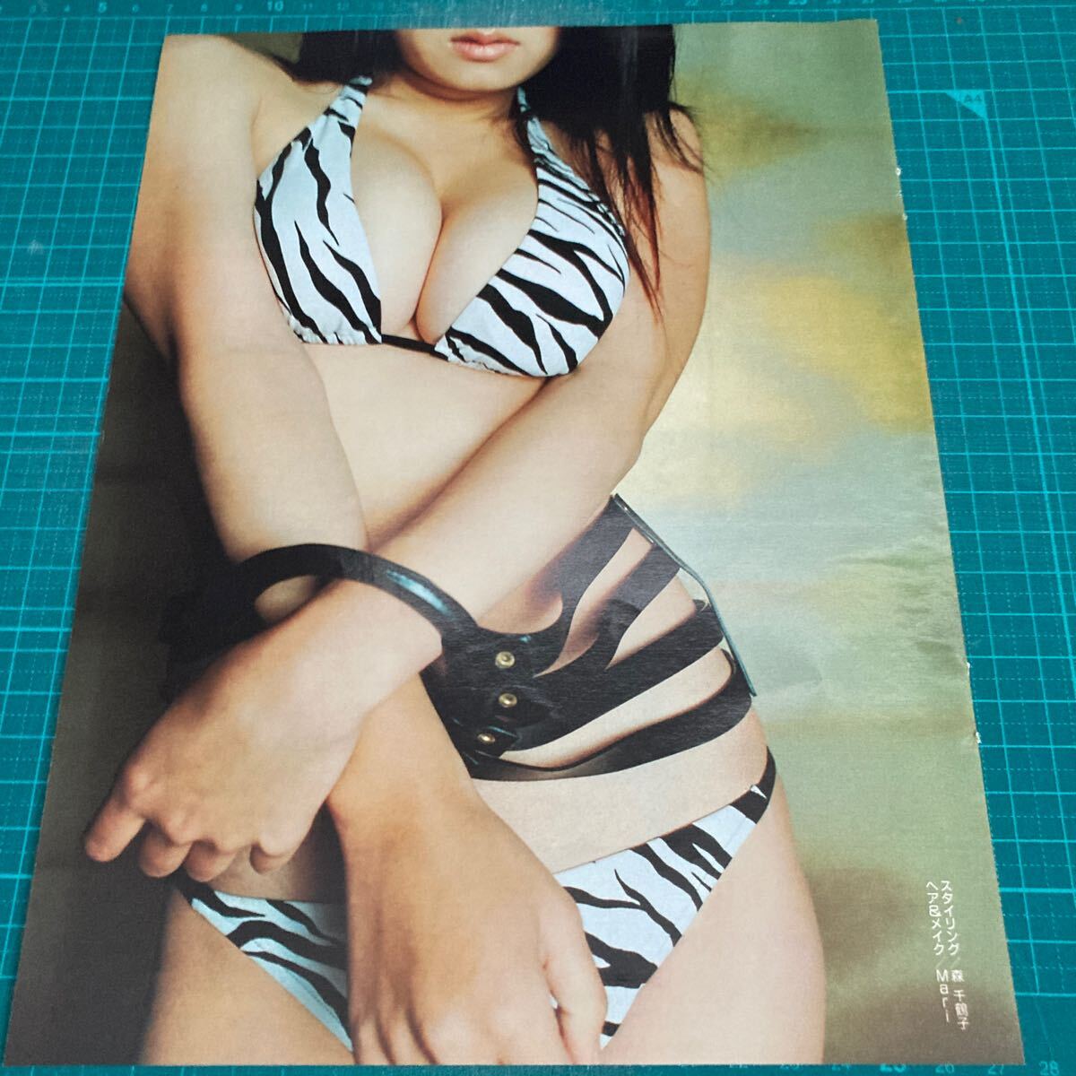 Yahoo!オークション - E18 切り抜き 小池栄子