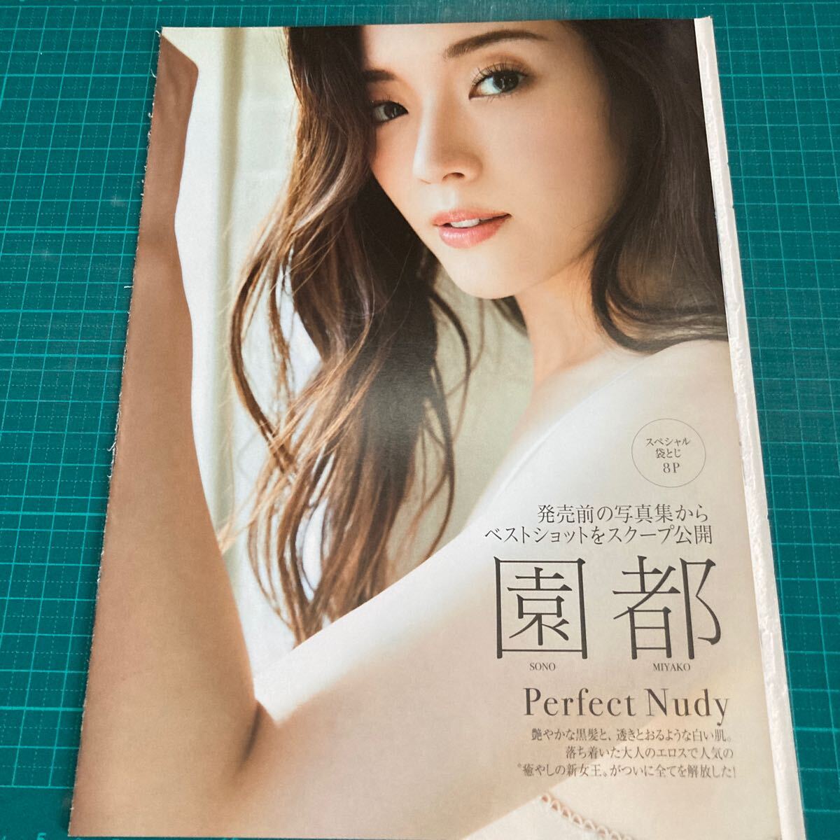 Yahoo!オークション - E18 切り抜き 園都