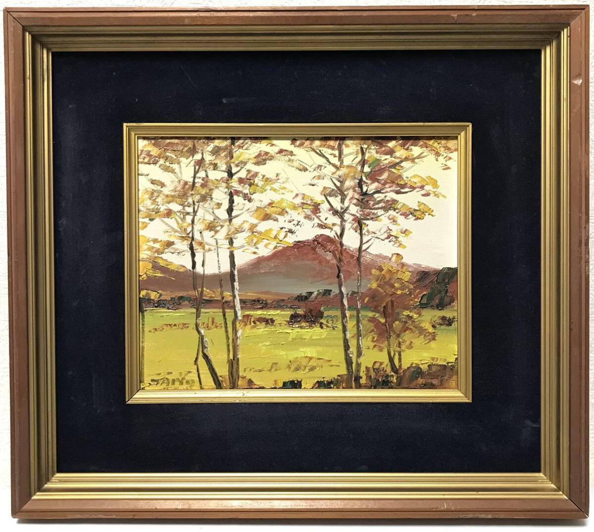 真作 村岡大洋 奥日光 戦場ヶ原 油彩 額装 / 絵画 油彩画 油絵 風景画(自然、風景画)｜売買されたオークション情報、yahooの商品情報をアーカイブ公開 - オークファン（aucfan.com）