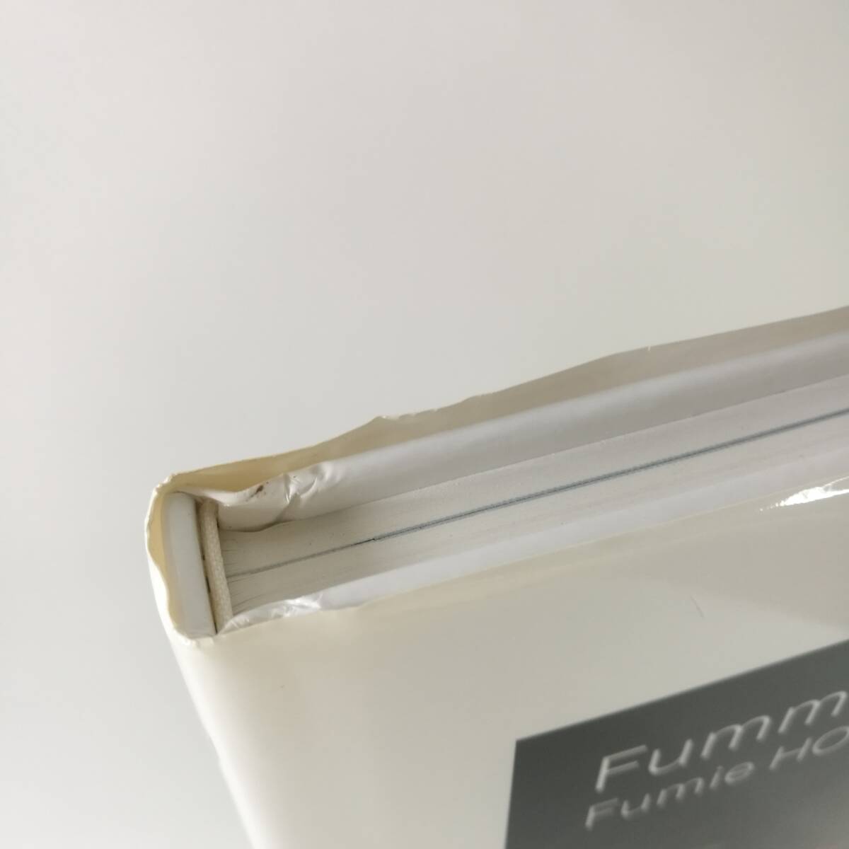 Yahoo!オークション - [Z567]写真集 細川ふみえ Fumming /現状品/本/レ...