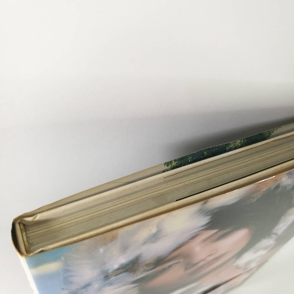 Yahoo!オークション - [Z567]写真集 DVD付 川村ゆきえ ゆっきー・ざ・...