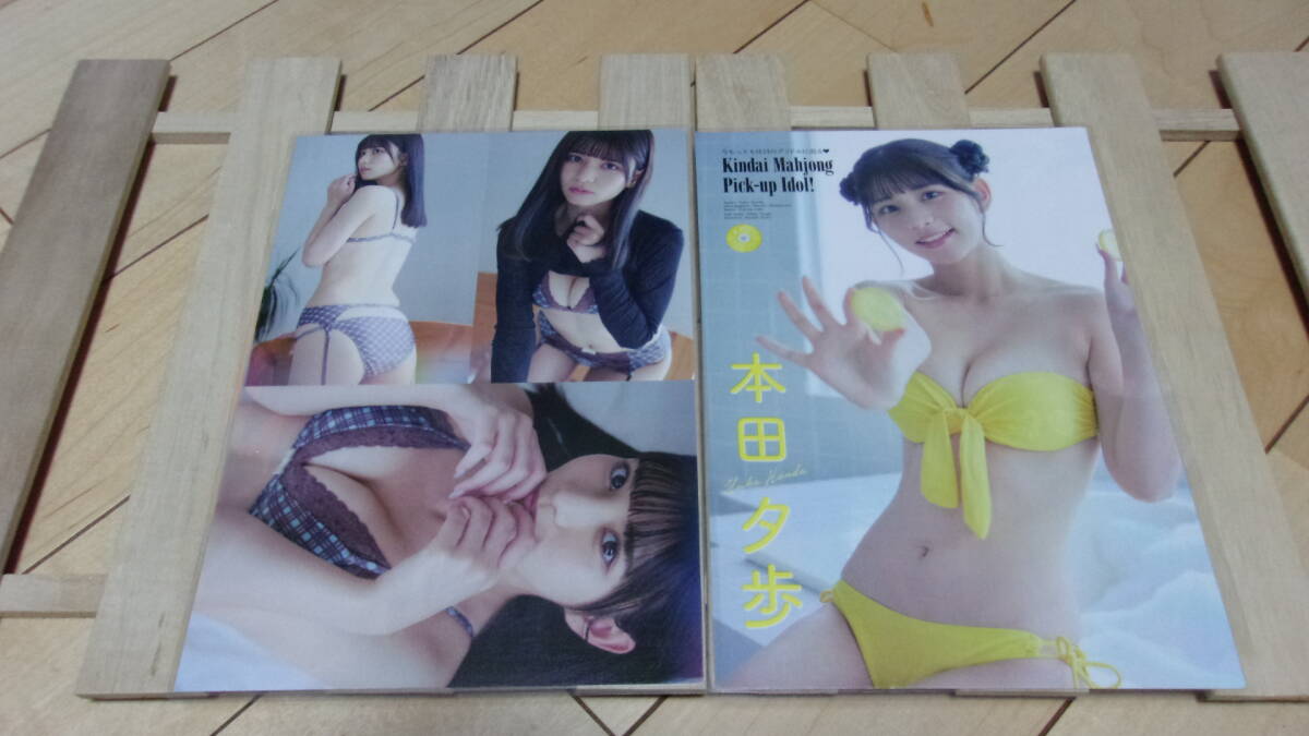 Yahoo!オークション - 本田夕歩 巨乳グラドル 雑誌切B5ラミネート4P T1...