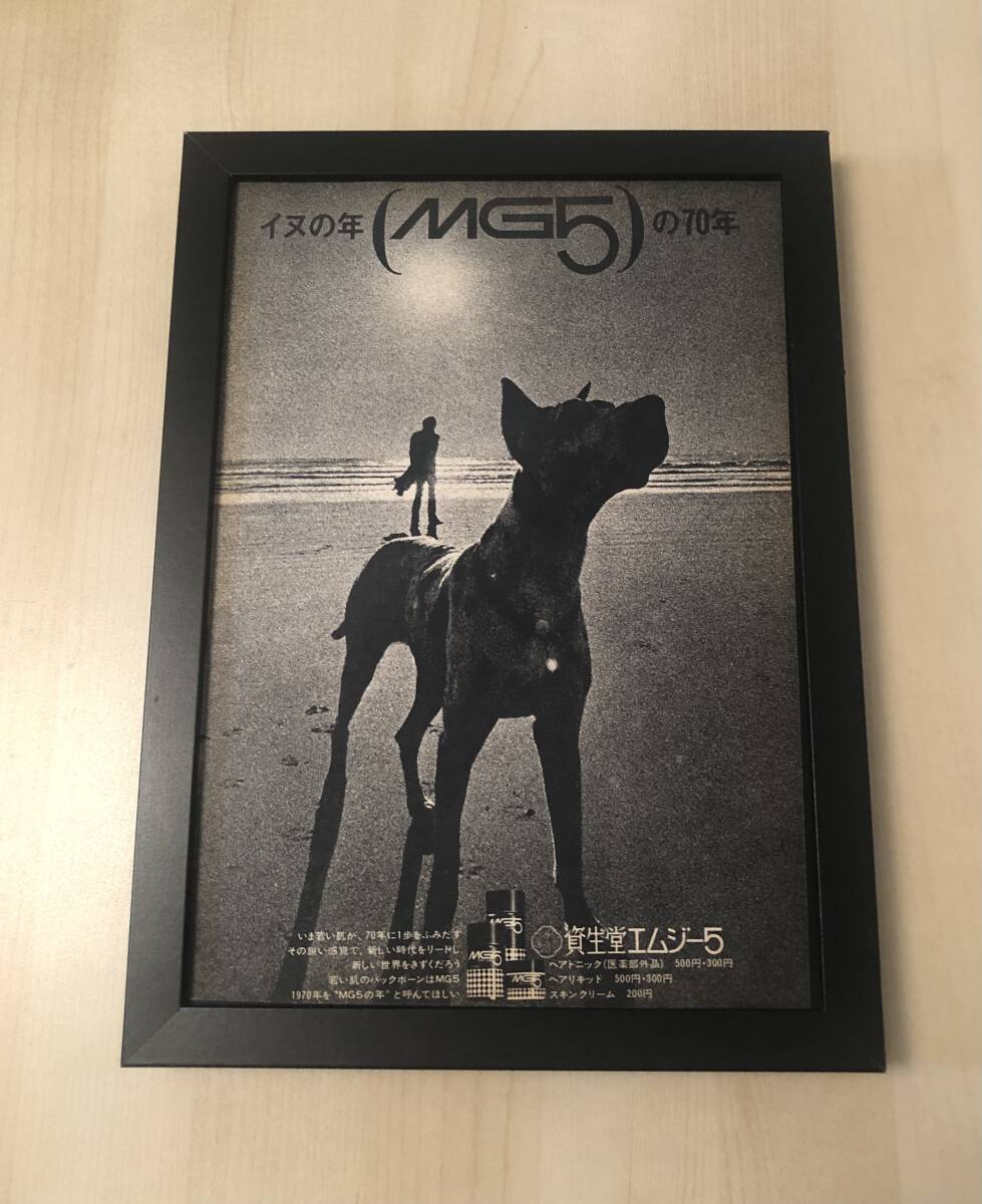 Yahoo!オークション - kj 額装品 資生堂 MG5 団時朗 犬 B5サイズ額入り...