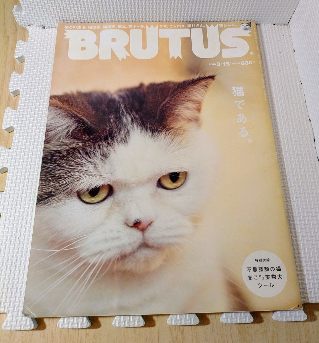 Yahoo!オークション - BRUTUS 2009年3月15日号 シール未使用 + 猫びよ...