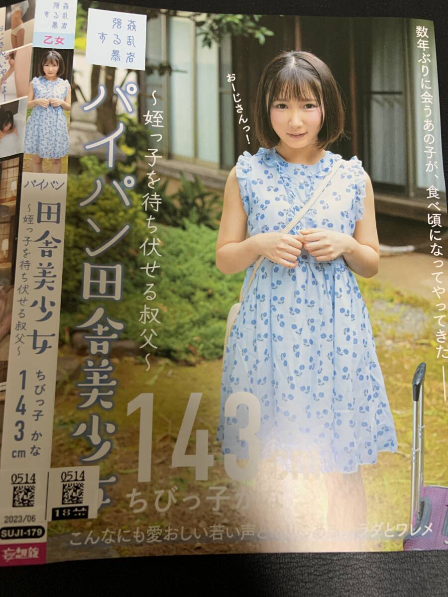Yahoo オークション N1303 パイパン田舎美少女 姪っ子を待ち伏せる