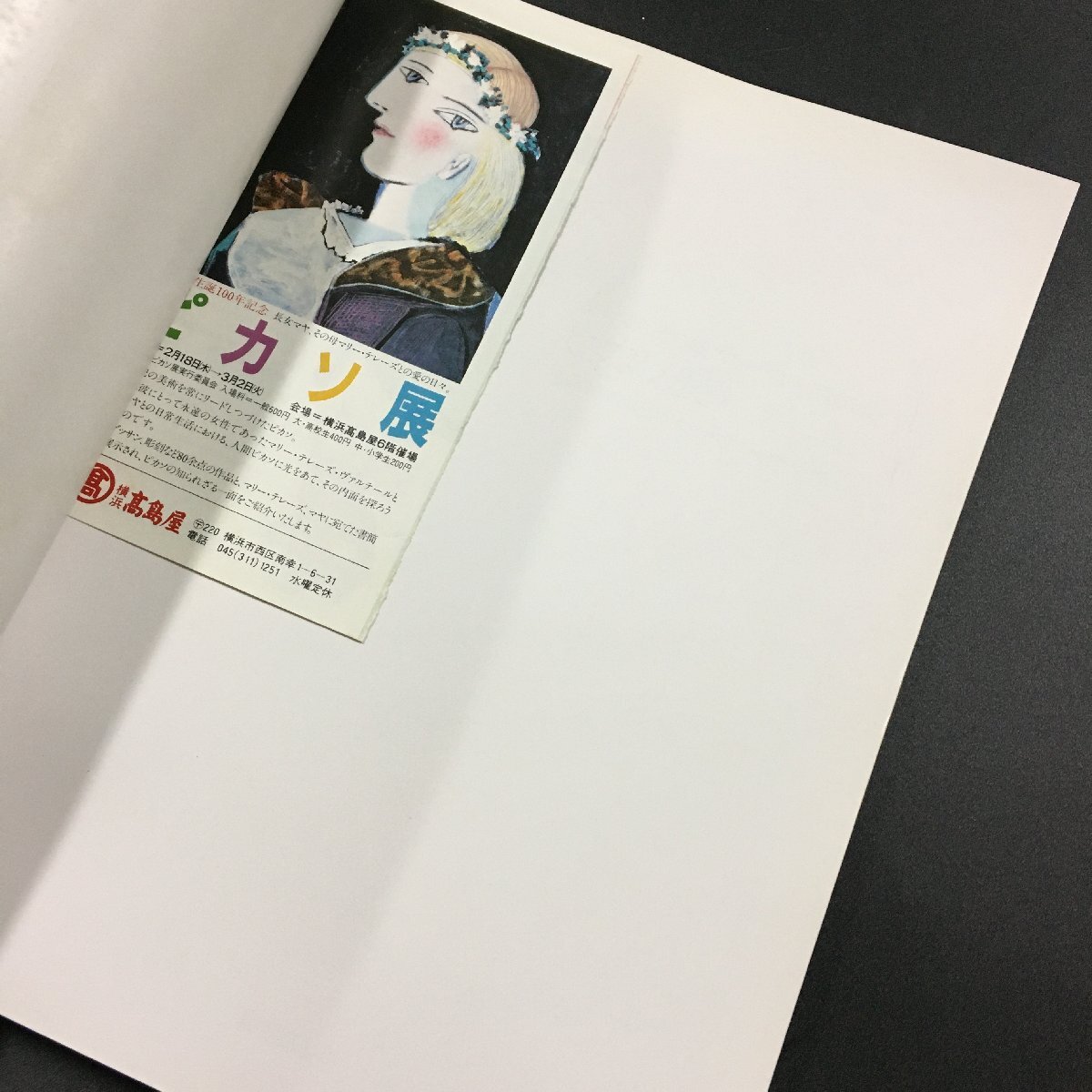 図録『ピカソ展 長女マヤ,その母マリー=テレーズとの愛の日々 図録『ピカソ展 長女マヤ,その母マリー=テレーズとの愛の日々