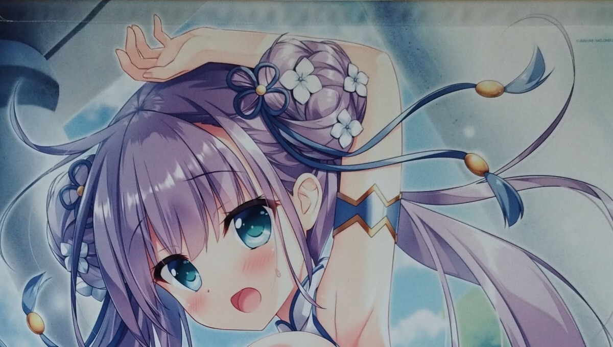 Yahoo!オークション - あめとゆき B1Wスエード タペストリー メロンブ...