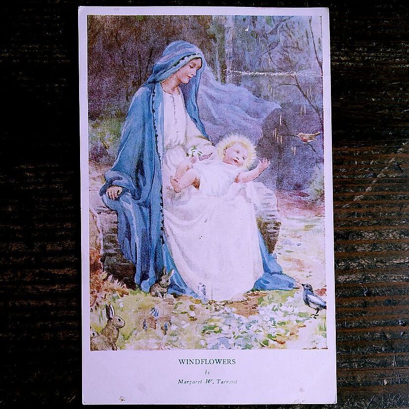 Yahoo!オークション - M.W.Tarrant K57 (8) マーガレット タラント 子...