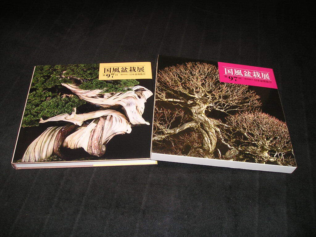 Yahoo!オークション - 国風盆栽展 第97回 日本盆栽協会 令和5年 箱付き