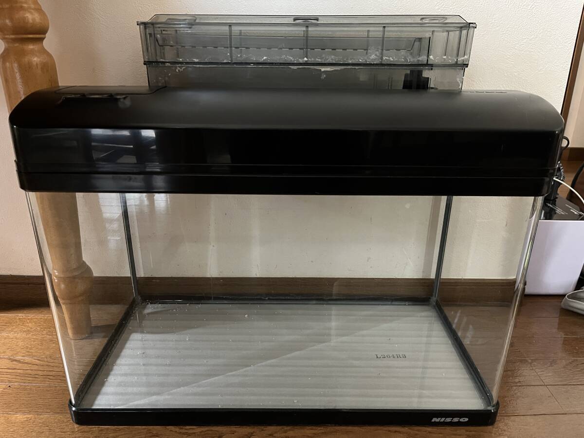 NISSO 曲面60cm水槽(60cm～)｜売買されたオークション情報、yahooの商品情報をアーカイブ公開 - オークファン（aucfan.com）