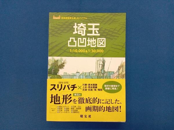 埼玉凸凹地図 埼玉スリバチ学会 :: Yahoo!Auction｜DEJAPAN - Bid and Buy Japan with 0% commission