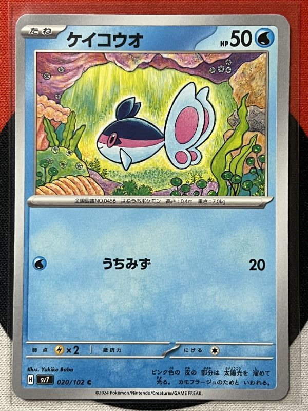 Yahoo!オークション - 【送料85円～】 ケイコウオ C sv7 ステラミラク...