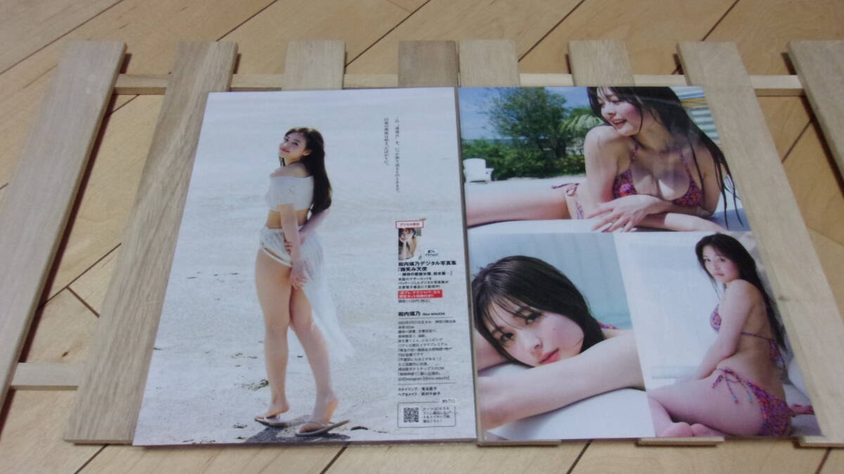 Yahoo!オークション - 和内莉乃 女優・美ボディ 雑誌切B5ラミネート8P ...