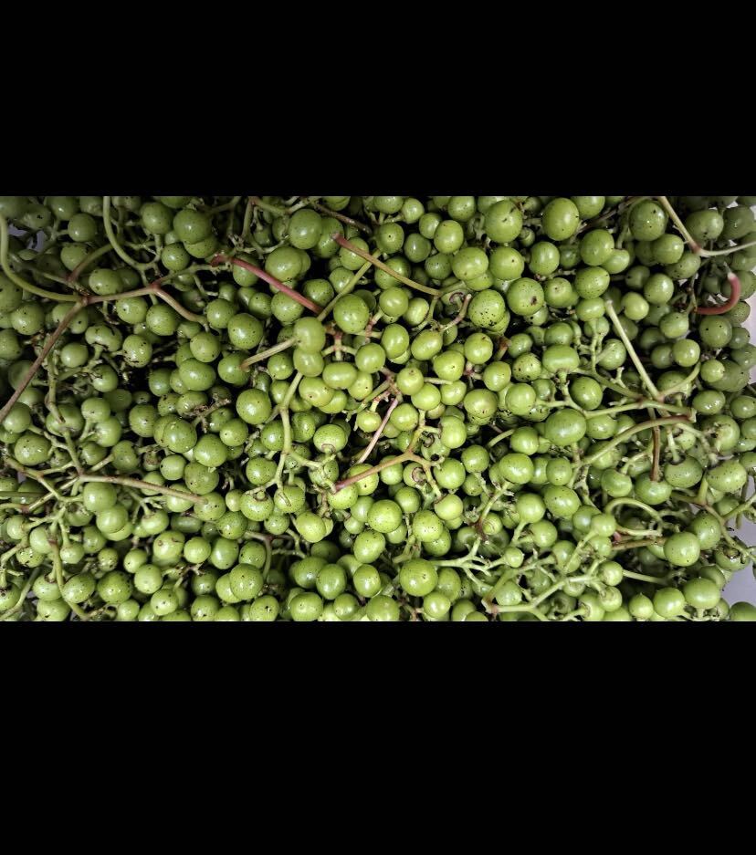 Yahoo!オークション - うまぶどう ウマブドウ 馬ぶどう 実 房ごと1600g...