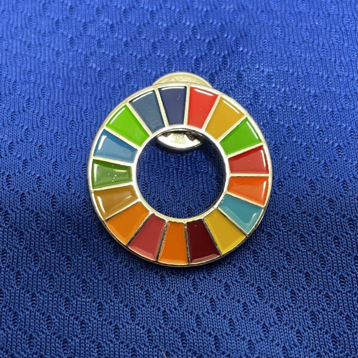 Yahoo!オークション - SDGs ピンバッジ