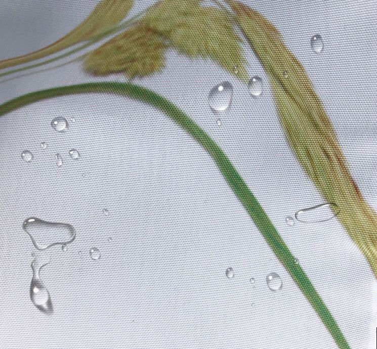 Yahoo!オークション - 新品 シャワーカーテン 150x180 防カビ トロピカ...