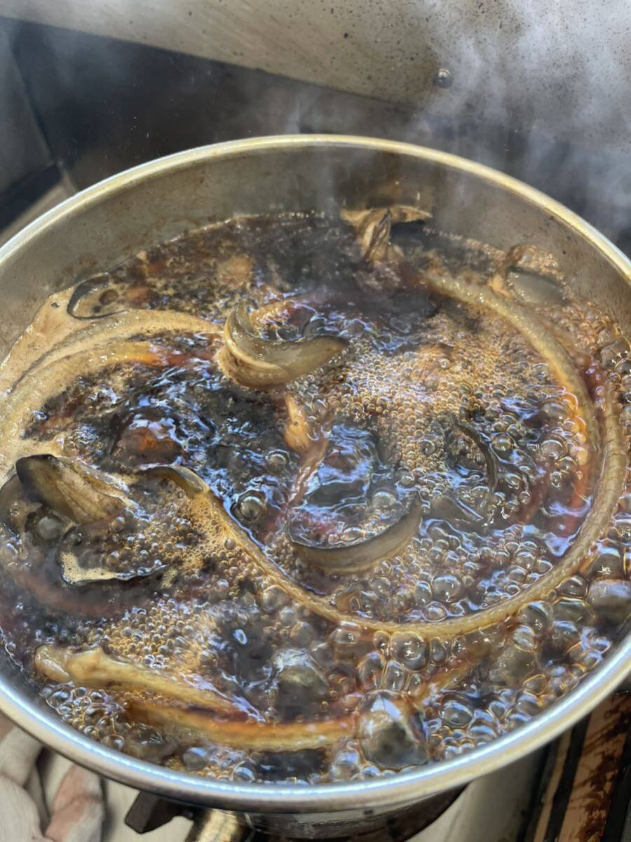 Yahoo!オークション - 【宮崎県産】大サイズ140g -170g 6尾セット 炭火...