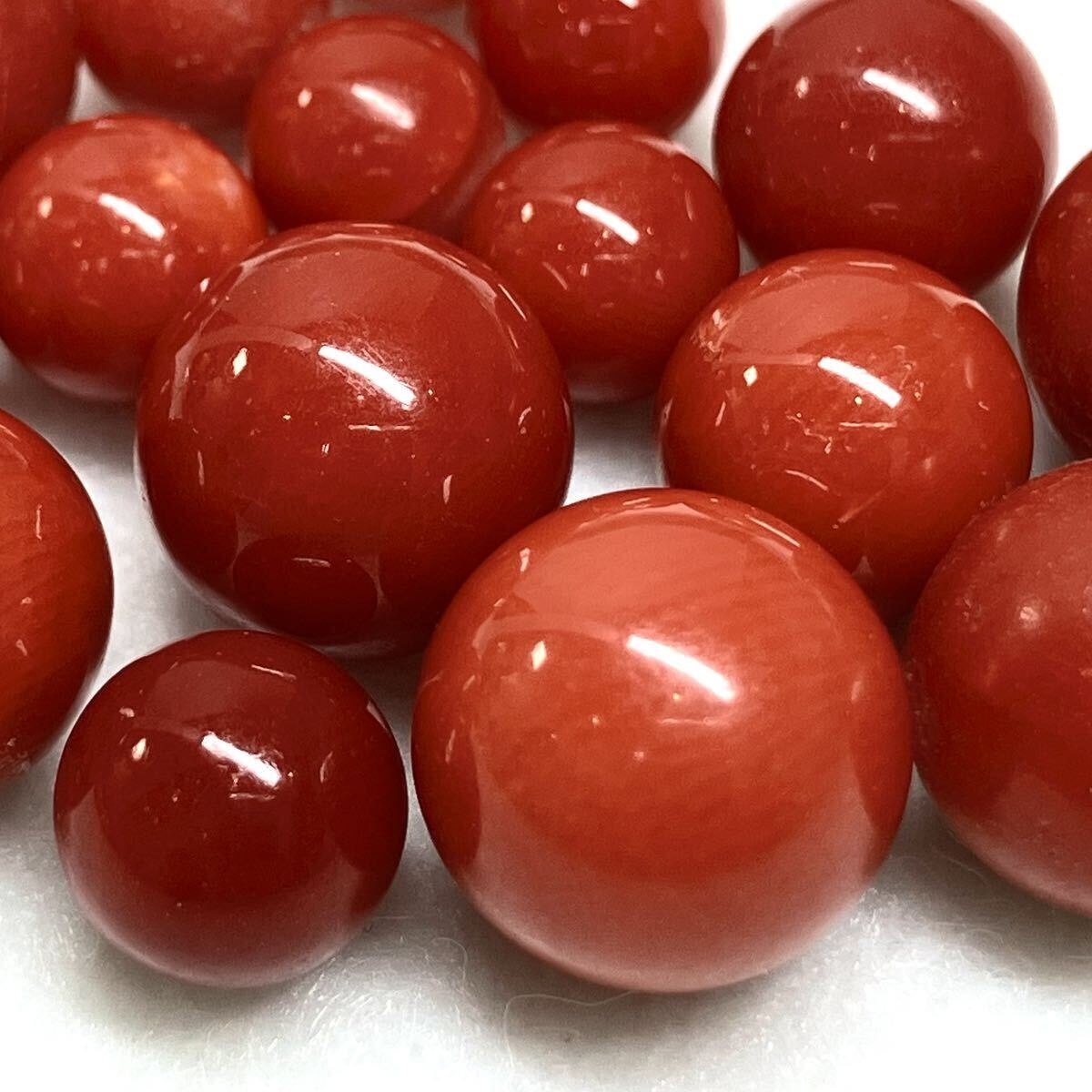 Yahoo!オークション - 5.9-10.1mm 天然血赤本珊瑚おまとめ 58ct A約11....