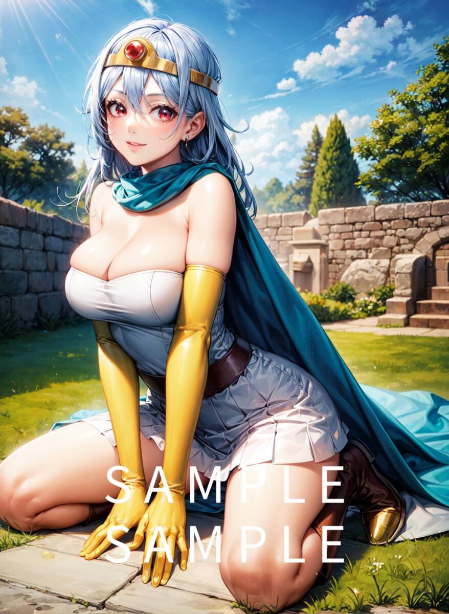 Yahoo!オークション - 【2201】女賢者 ドラゴンクエスト ドラクエ イラ...