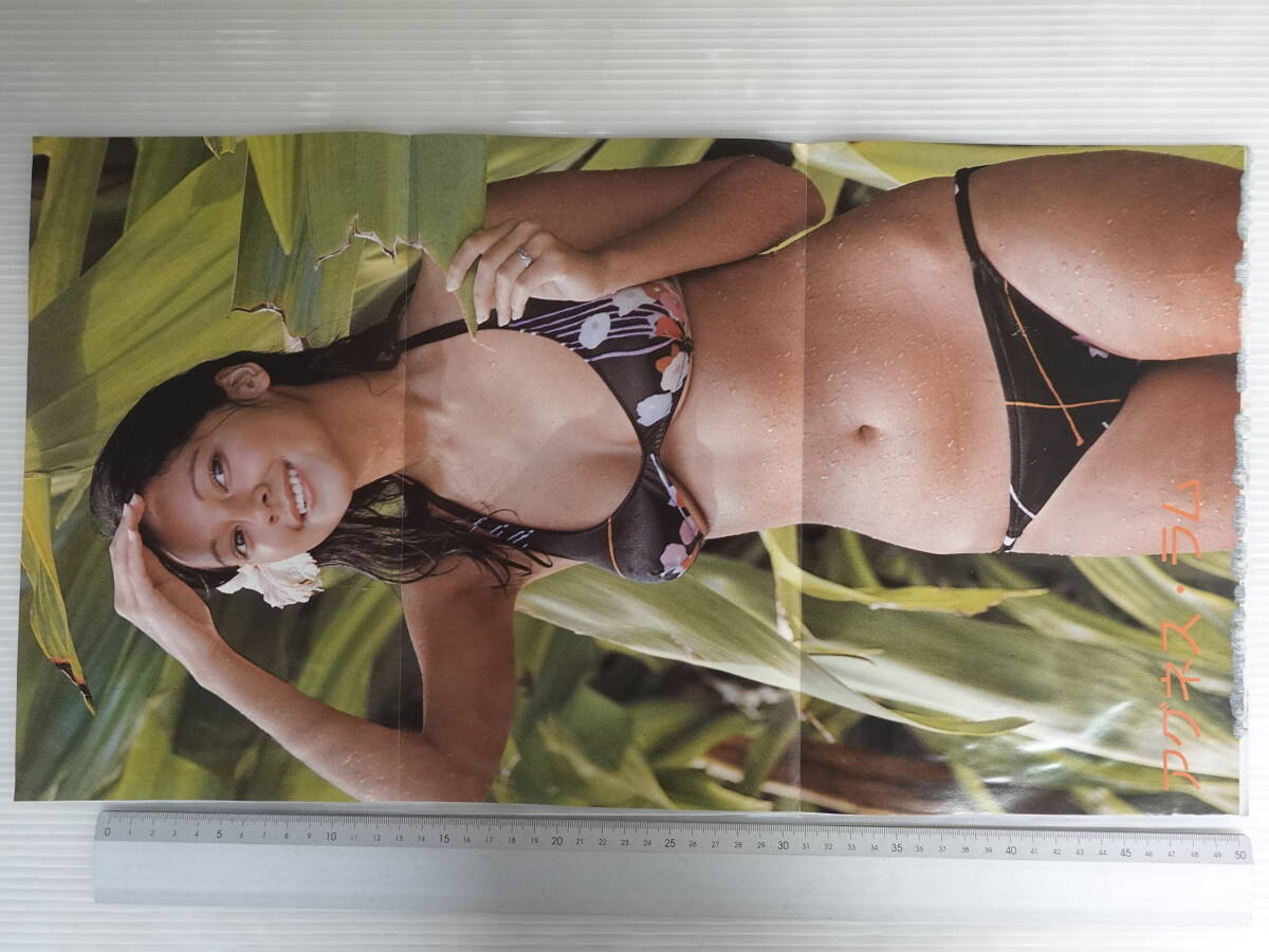 Yahoo!オークション - P091アグネス・ラム 雑誌切抜・付録ポスターセッ...