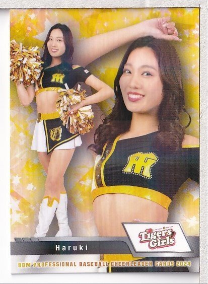 Yahoo!オークション - a75【2024BBM プロ野球チアリーダーカード】ホロ...