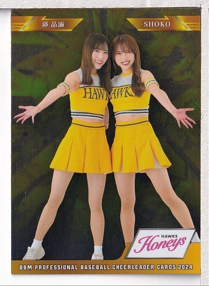 Yahoo!オークション - a64【2024BBM プロ野球チアリーダーカード】イン...