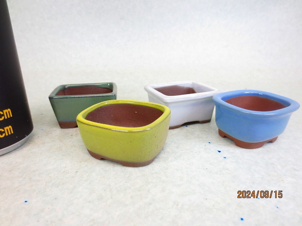 緑の市場 小品盆栽鉢 文山 6点組 H066 定形外郵便 /ゆうパック発送有料 選択可 無料発送はポスト投函(鉢)｜売買されたオークション情報、yahooの商品情報をアーカイブ公開 ...