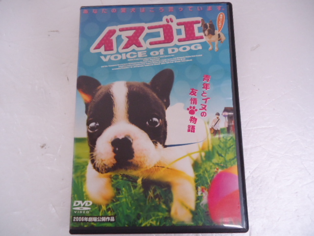 Yahoo!オークション - 【KCM】og-dvd-230 フィルムなしジャケット傷み...