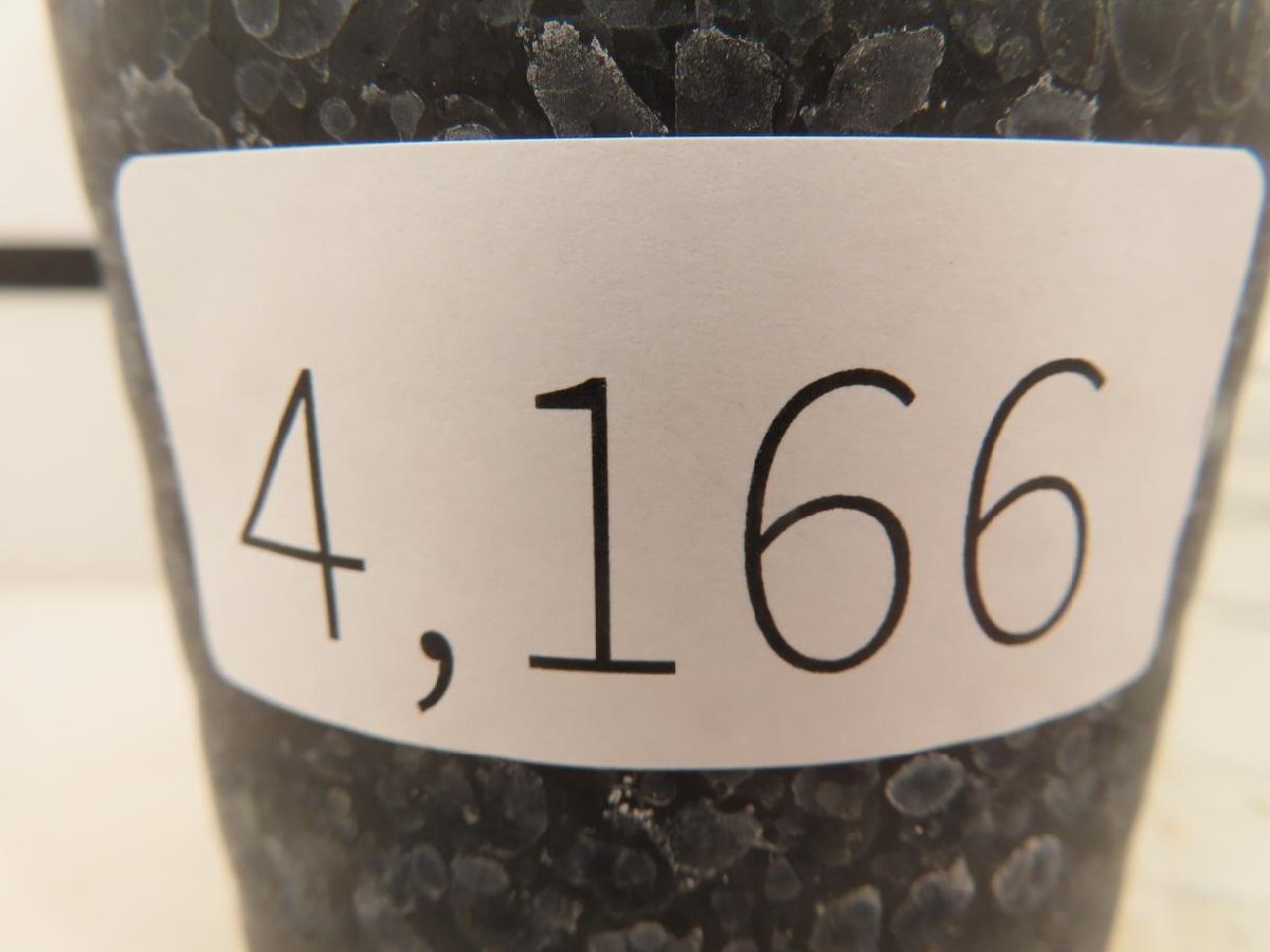 Yahoo!オークション - 4166 「実生」パキポディウム ウィンゾリ 【発根...