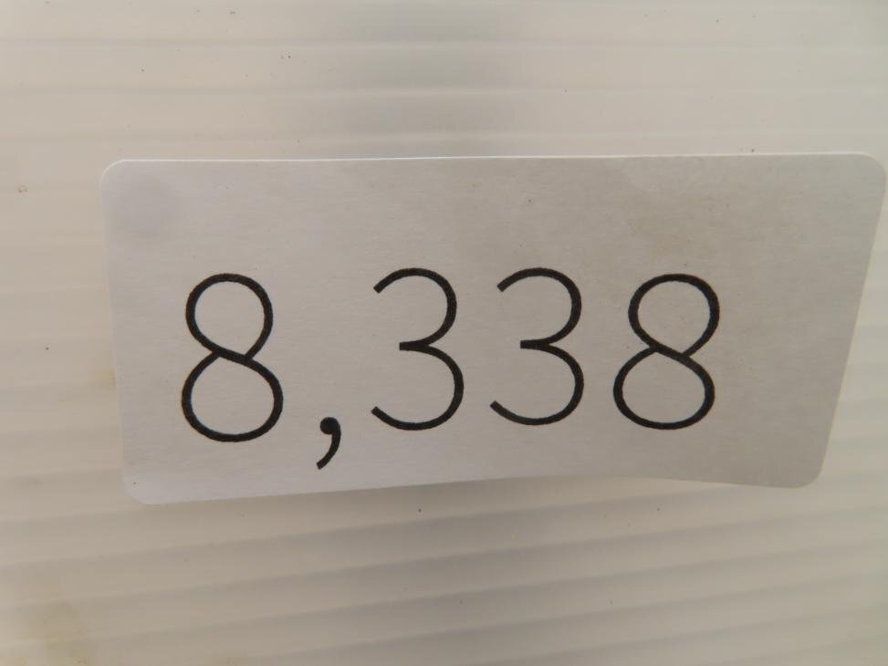 Yahoo!オークション - 8338 「塊根植物」パキポディウム イノピナツム ...