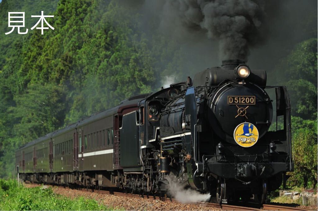 Yahoo!オークション - 鉄道写真 JR山口線を走るD51-200牽引のSLやまぐ...
