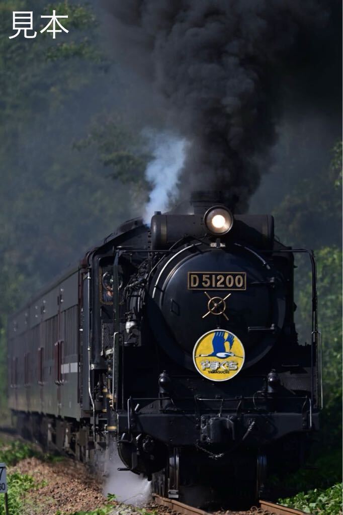 Yahoo!オークション - 鉄道写真 JR山口線を走るD51-200牽引のSLやまぐ...