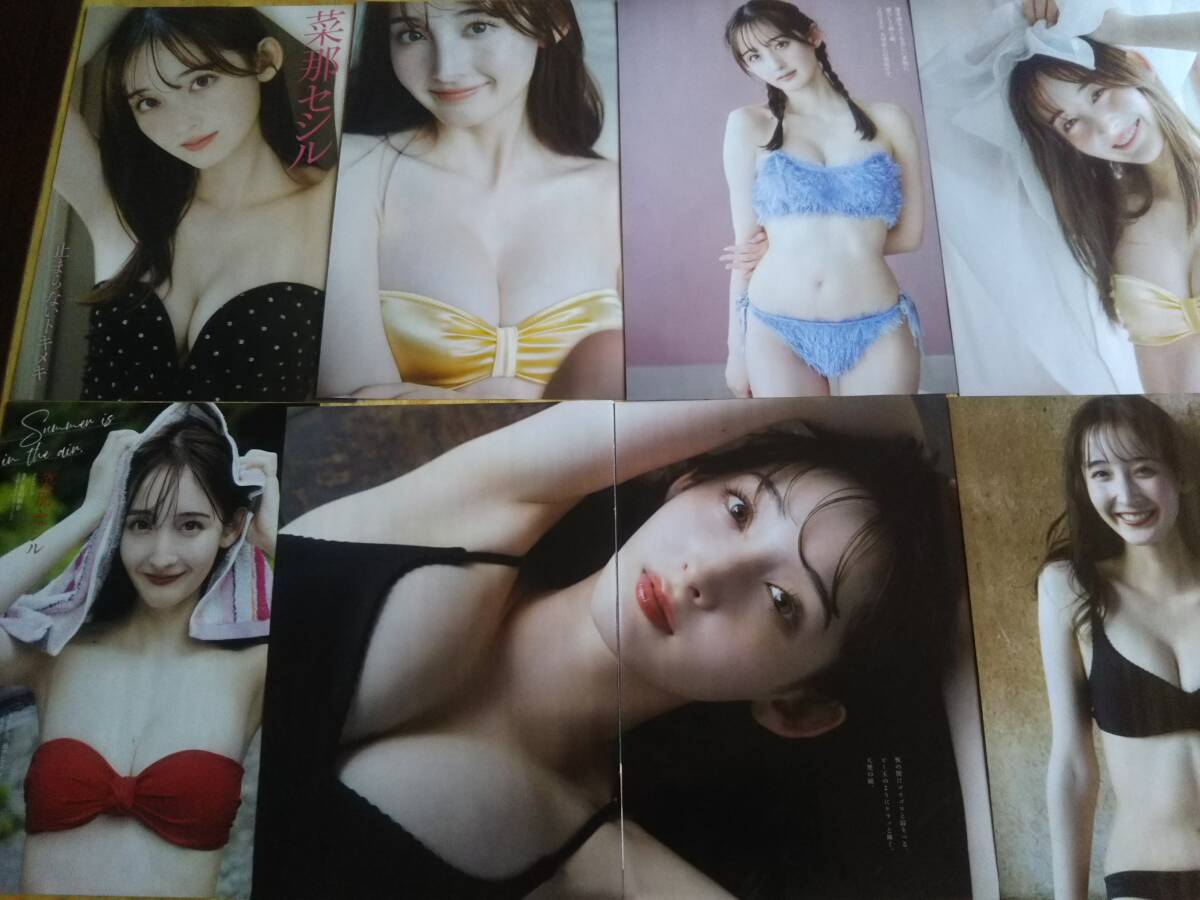 Yahoo!オークション - 菜那 セシル 新旧切り抜き寄せ集め 23P