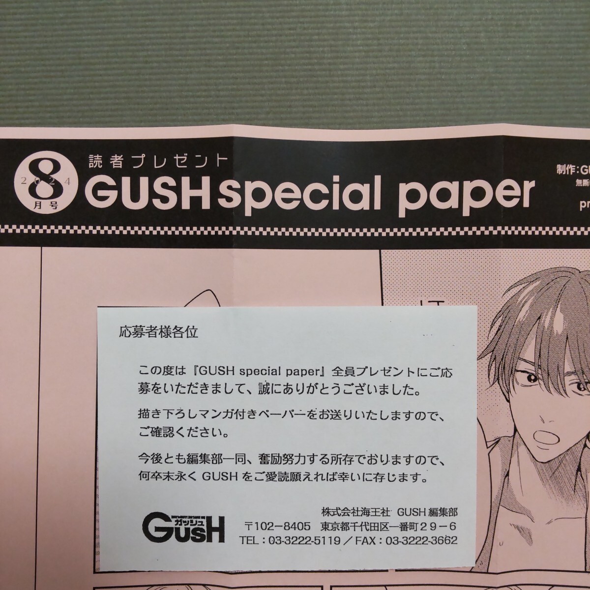 Yahoo!オークション - GUSH全員サービス 全サ 特典ペーパー お護りしま...