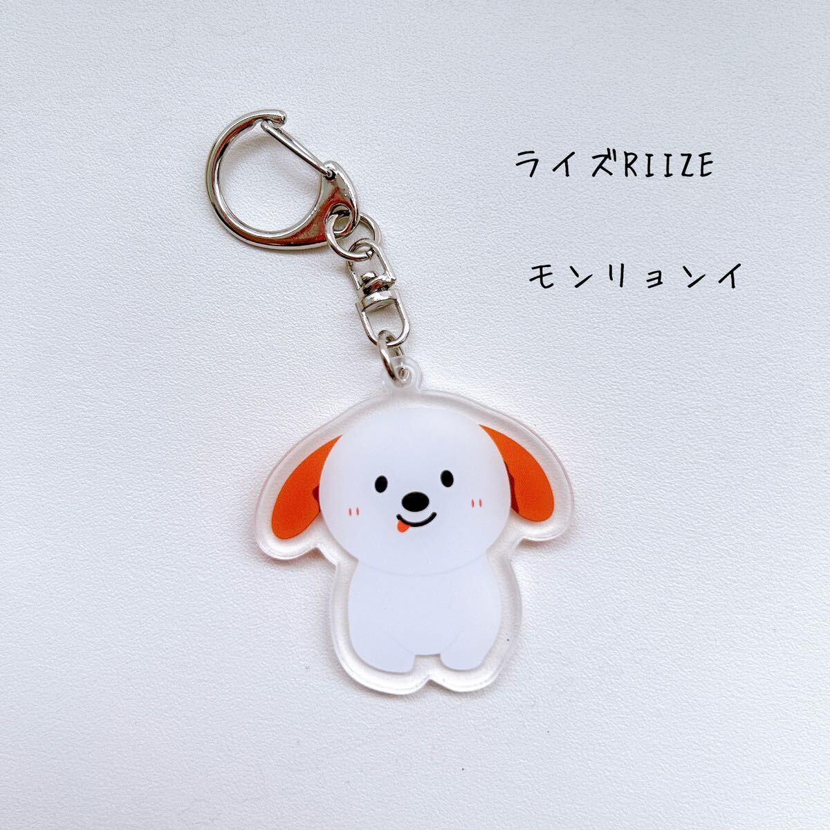 Yahoo!オークション - ライズ RIIZE アクリルキーホルダー