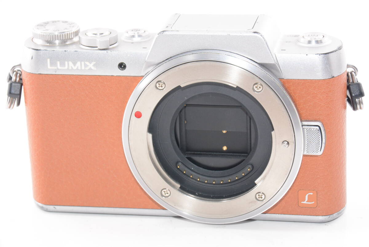 Yahoo!オークション - 【外観特上級】パナソニック PANASONIC LUMIX DM...