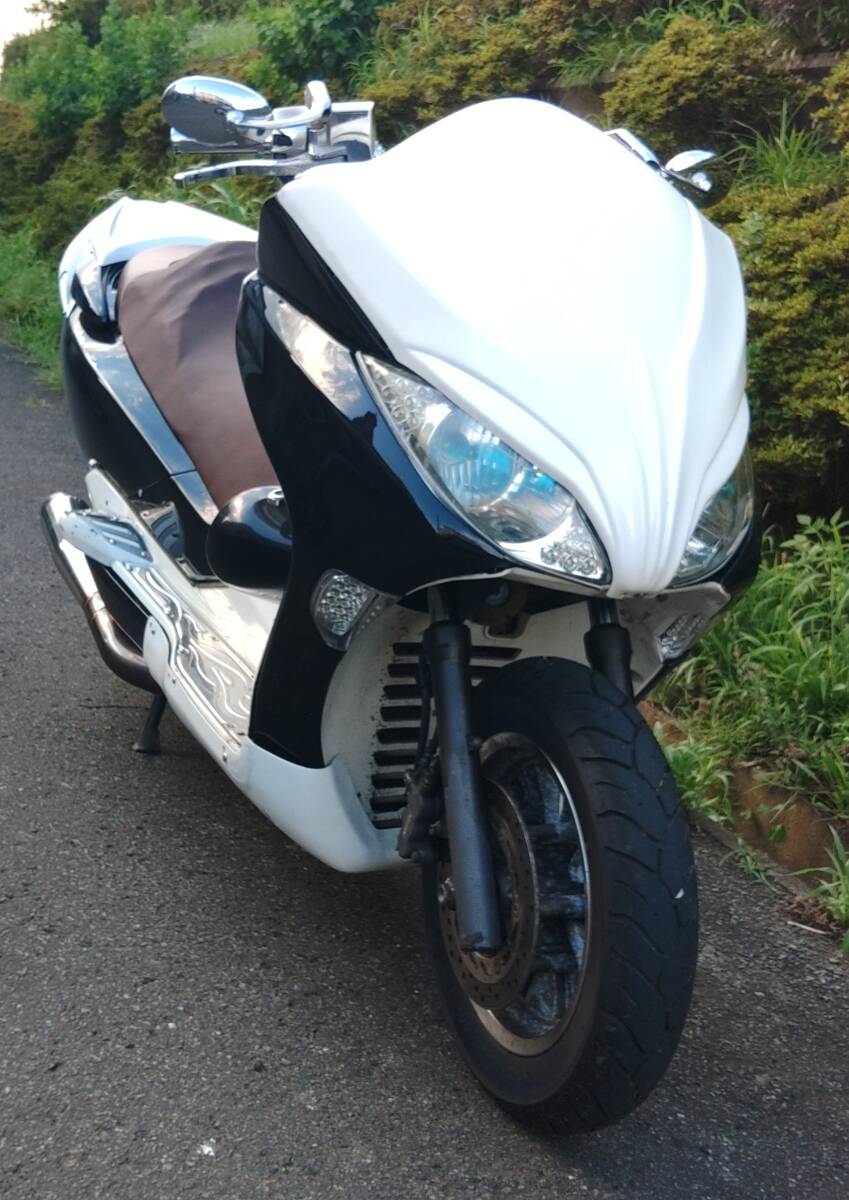 Yahoo!オークション - フォルツァZ MF10 白黒 (No.2181)